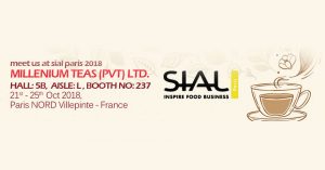 Millennium Tea – Leading Manufacturer and Exporter of High Quality Tea